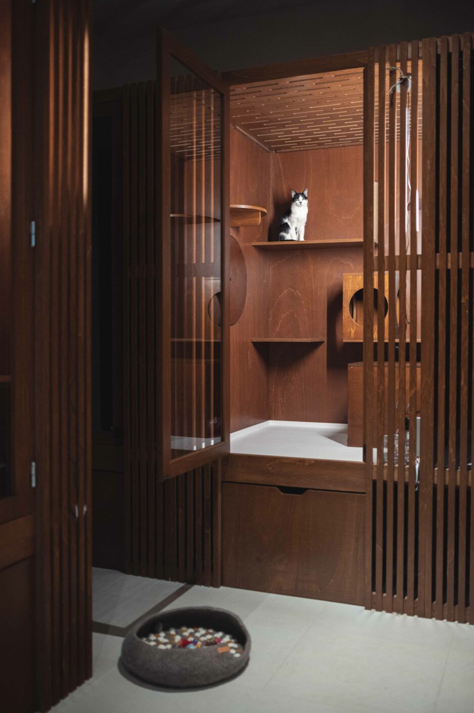 Hôtel pour chats Nice | Pension pour chats à Nice & solution de garde ...